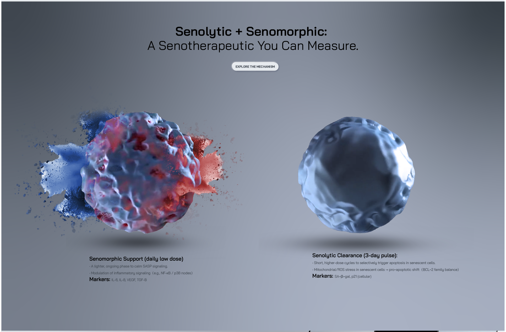 LONVI | Biomarker-Driven Senotherapeutics